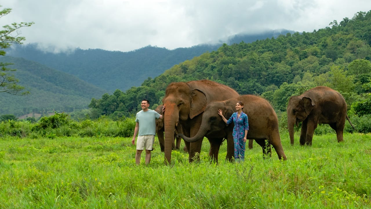 Chef Darren Chin’s Second Manifesto Takes Place Amid Centuries Of South ...
