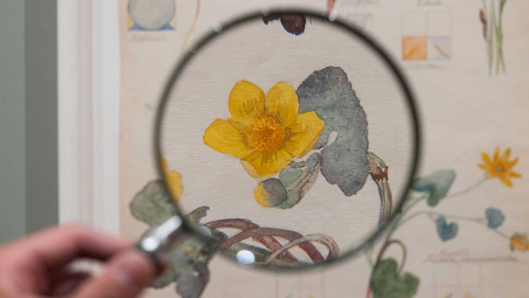 Inside The Hilma Af Klint Exhibit At MoMA in New York City | Robb ...